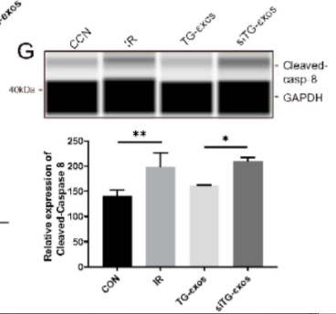 中山大学中山眼科中心仪器共享平台|支撑成果
